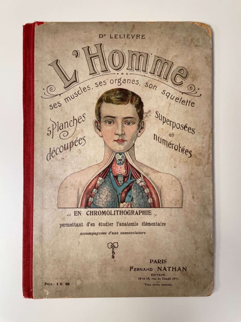 Fascicule de 5 planches d'anatomie - "L'Homme" Dr Lelièvre - ZazouBroc